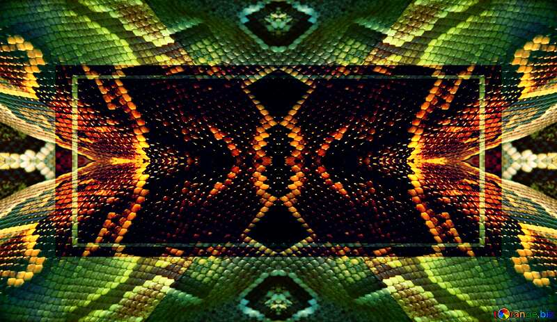 Download free picture The texture. Skin Python Powerpoint Pattern ...