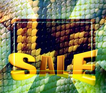 Download free picture The texture. Skin Python Polygonal abstract ...